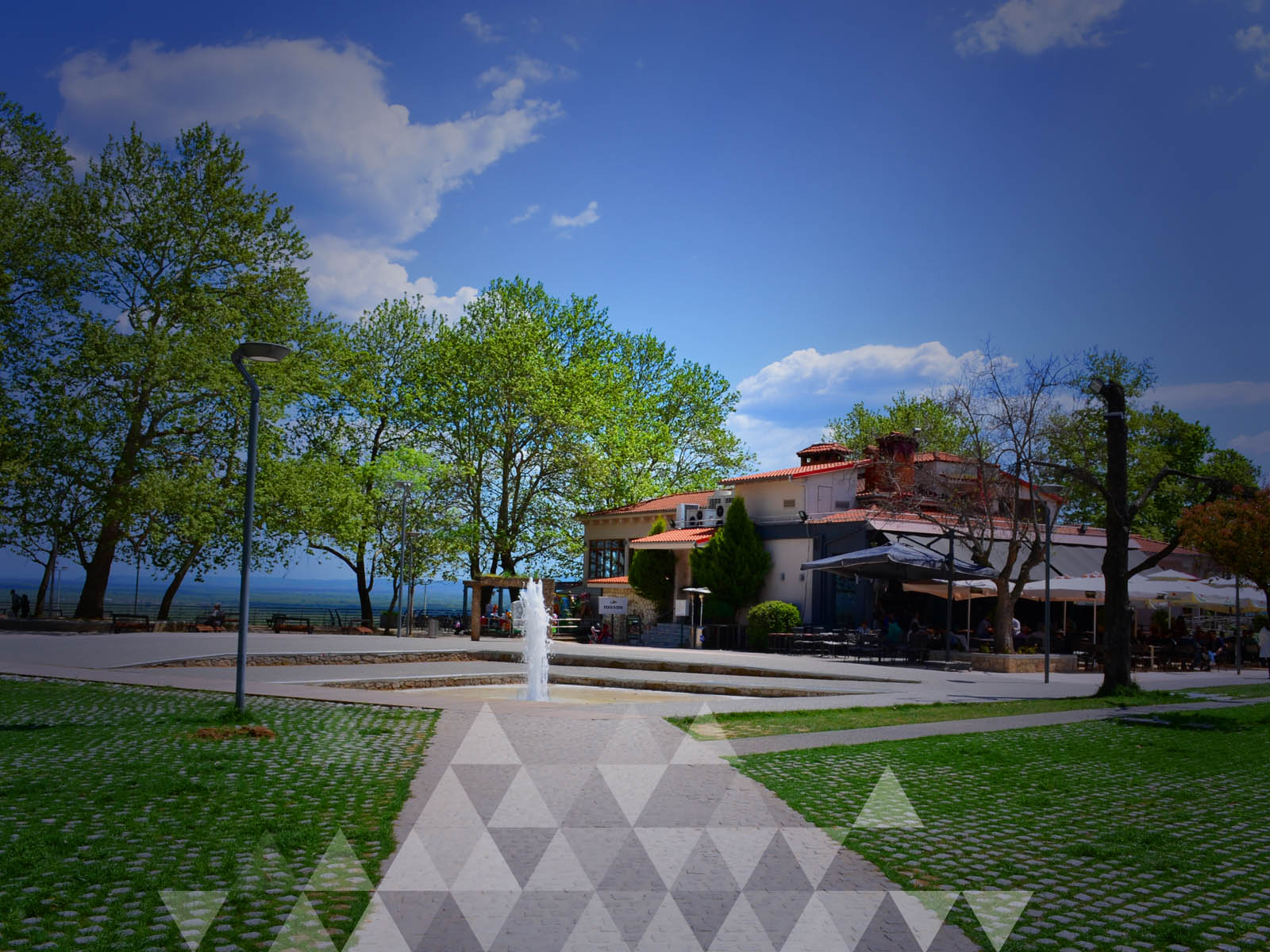 Homepage - Discover Veria